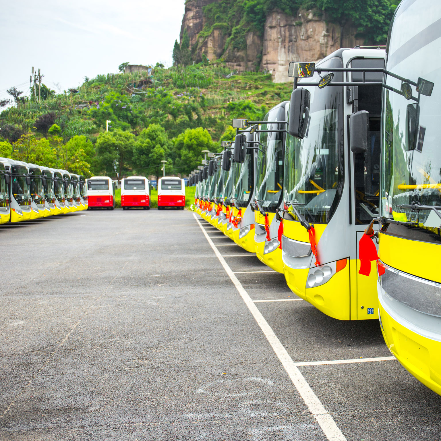 The Urban Electric Bus Market McKinsey the-urban-electric-bus-market-mckinsey